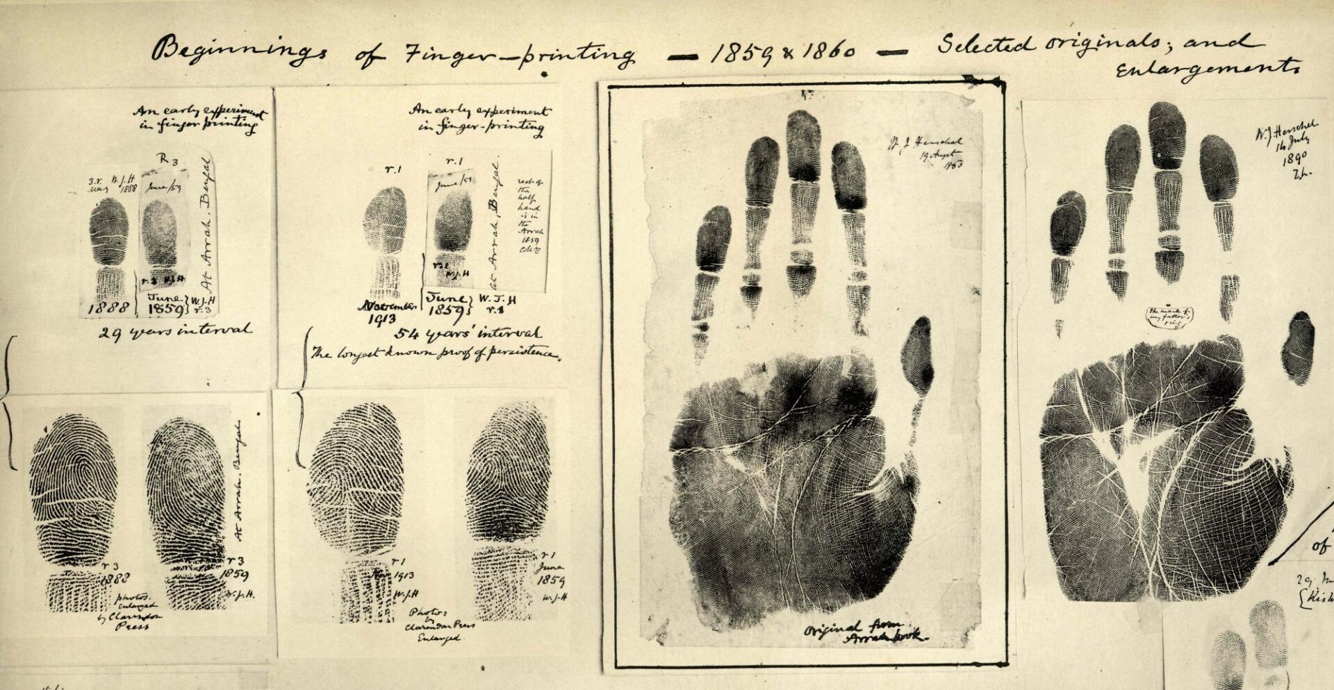 The Fingerprint History: Understanding The Science of It